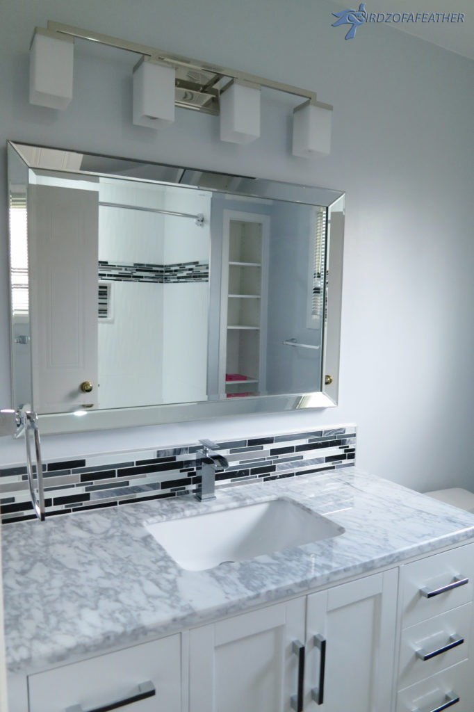 Small Bathroom Remodel - Expand Without Moving Walls! - Birdz of a Feather