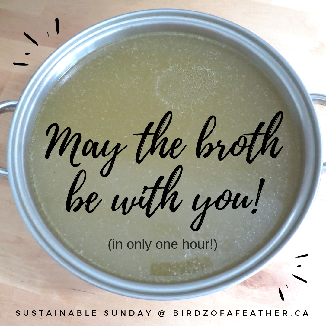 Stock up on Chicken Soup with a Pressure Cooker! - Birdz of a Feather