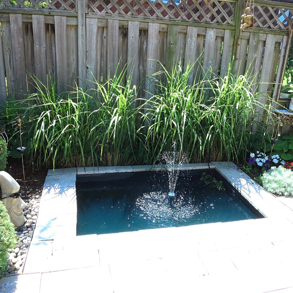 Pond Maintenance: Get Your Pond Ready for Summer! - Birdz of a Feather