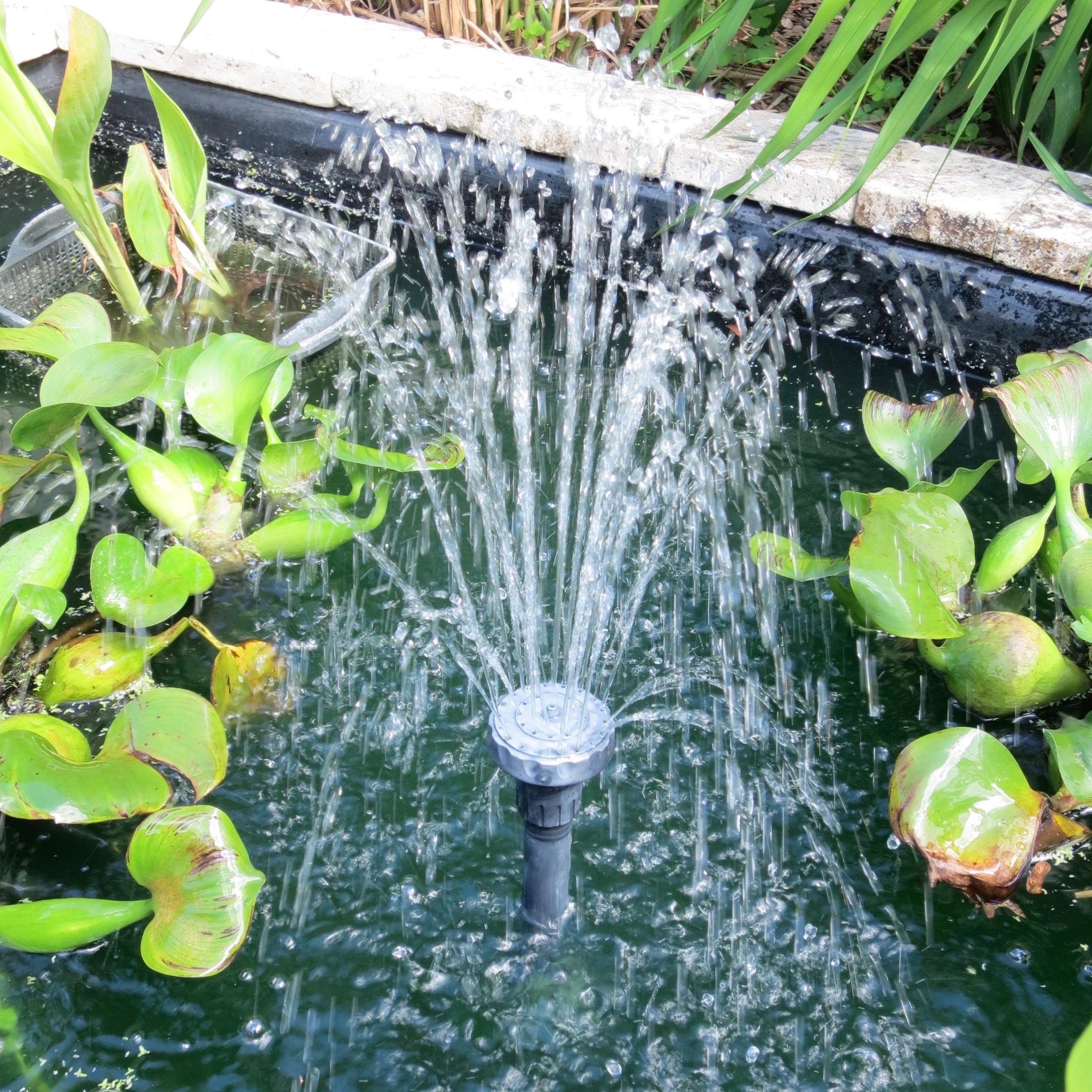 DIY Pond - Milk Crate Upcycle! - Birdz of a Feather