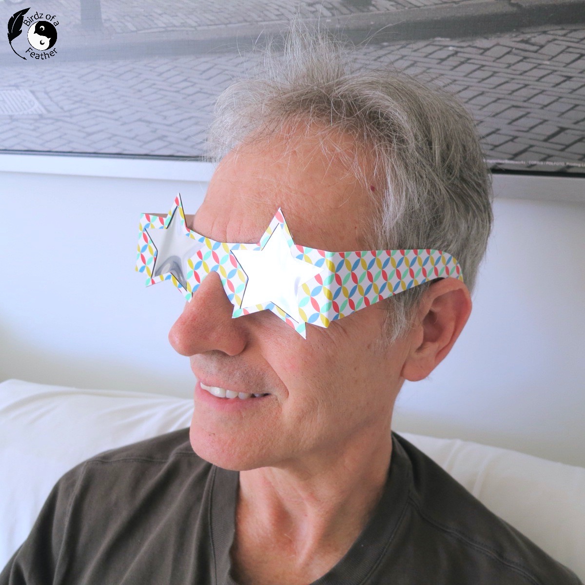 DIY Solar Eclipse Glasses - Birdz of a Feather