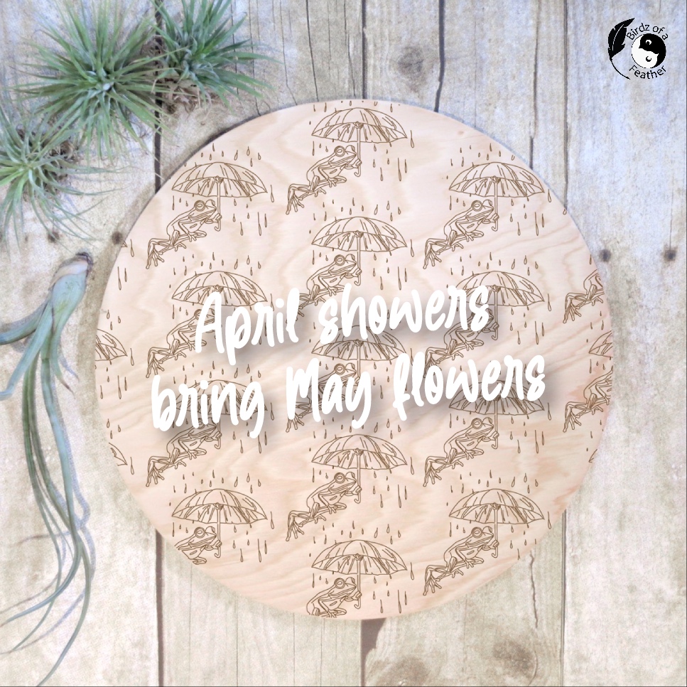 How to Laser Score on the xTool P2 - Birdz of a Feather